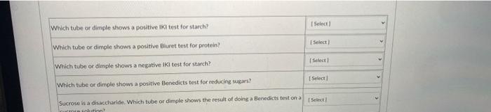 Solved А В С D E Select Which tube or dimple shows a | Chegg.com