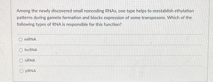 Solved Among the newly discovered small noncoding RNAs, one | Chegg.com