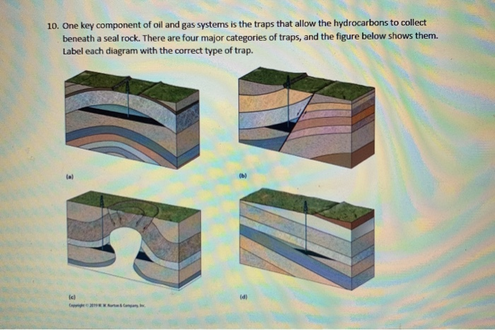 Solved 9. Match the parts of the hydrocarbon system (A-D) | Chegg.com