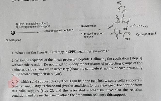 Solved HO NH HN 1) SPPS (Fmoc/Bu protocol) 2) cleavage from | Chegg.com