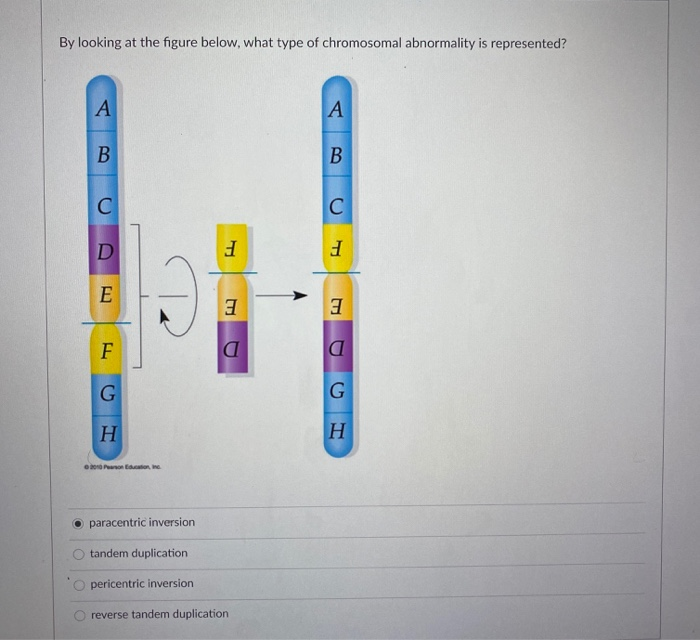 Solved By looking at the figure below, what type of | Chegg.com