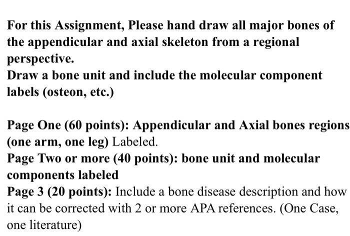 Solved For this Assignment, Please hand draw all major bones | Chegg.com