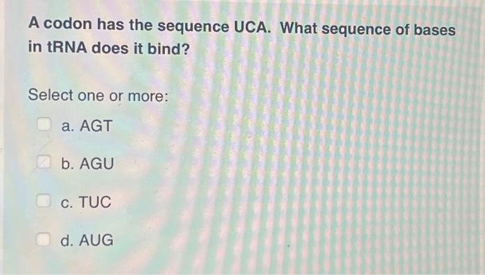 A codon has the sequence UCA. What sequence of bases | Chegg.com