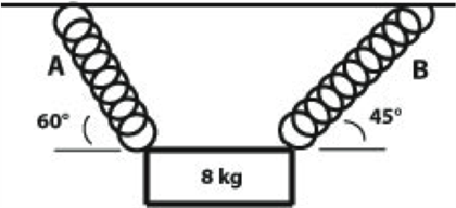 Solved An 8 kg mass is hanging from two springs that are | Chegg.com