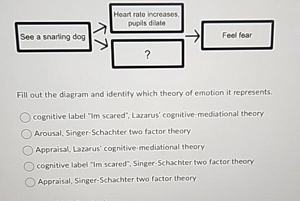 Solved Fill out the diagram and identify which theory of | Chegg.com