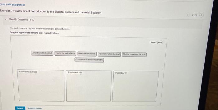 Solved Lab 2-4W assignment Exercise 7 Review Sheet: | Chegg.com