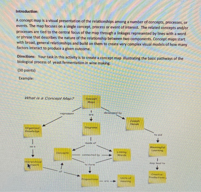 Solved create a basic conceptual map illustrating the basic | Chegg.com