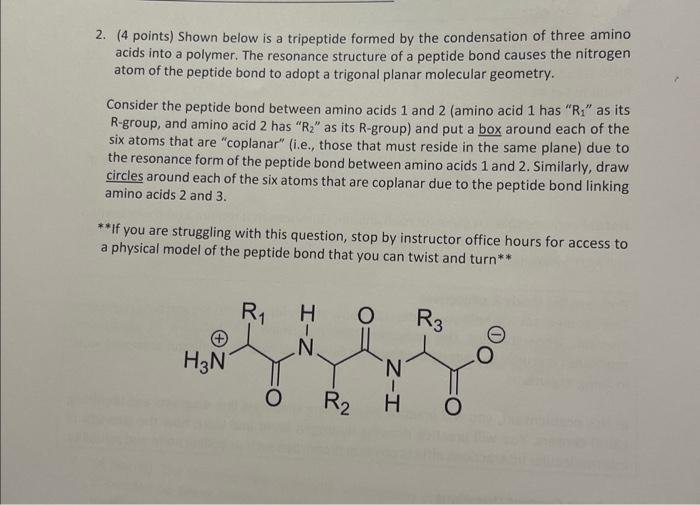 Solved 2. ( 4 points) Shown below is a tripeptide formed by | Chegg.com