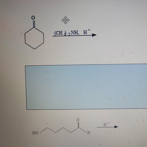 Solved (CH; NH H - HIN H HO E CH,CH , CHCH : CHCH, OH HO I | Chegg.com