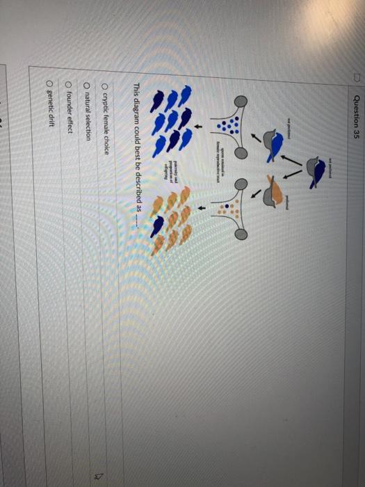 Solved Question 35 www This diagram could best be described | Chegg.com