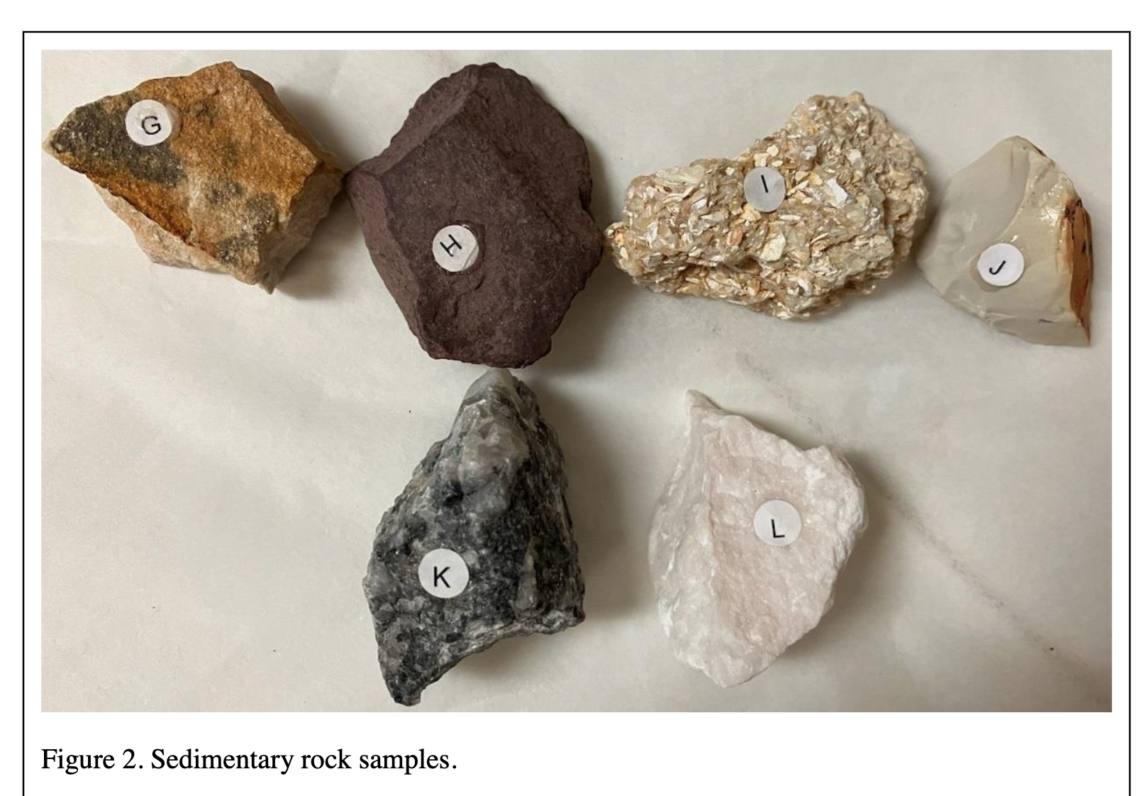 Solved Figure 2. ﻿Sedimentary rock samples.I need assistance | Chegg.com