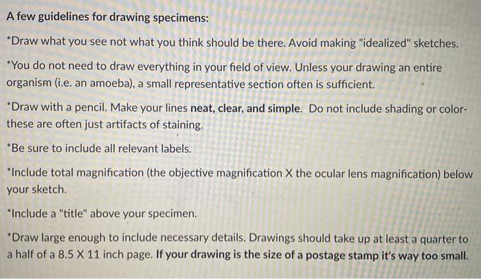 Solved A few guidelines for drawing specimens: *Draw what | Chegg.com