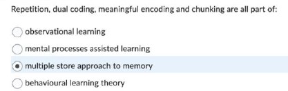 Solved Repetition, dual coding, meaningful encoding and | Chegg.com