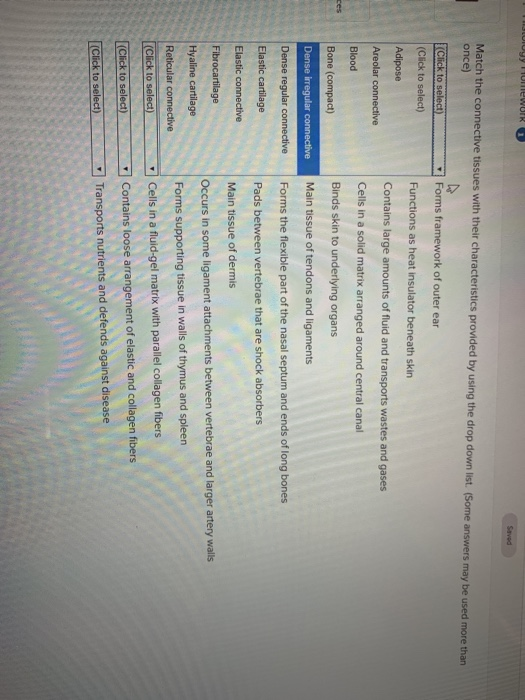 Solved Seved Match the connective tissues with their | Chegg.com