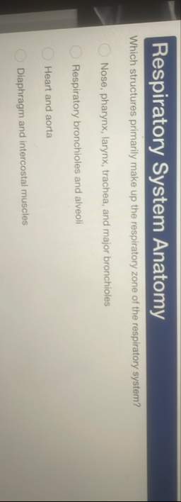 Solved Respiratory System AnatomyWhich structures primarily | Chegg.com