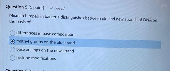 Solved Mismatch repair in bacteria distinguishes between old | Chegg.com
