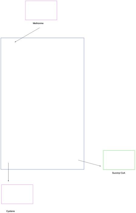 Question | Chegg.com