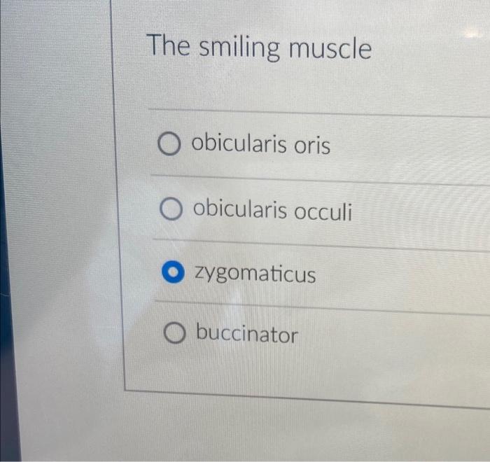 Solved The smiling muscle obicularis oris obicularis occuli | Chegg.com