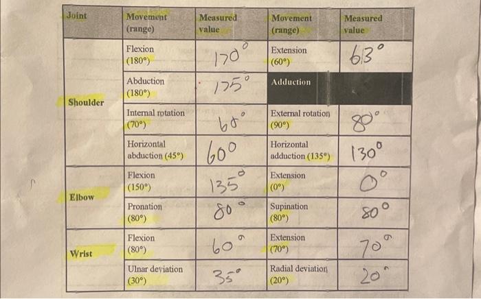 Solved 3.) Write a paragraph about your range of motion in | Chegg.com