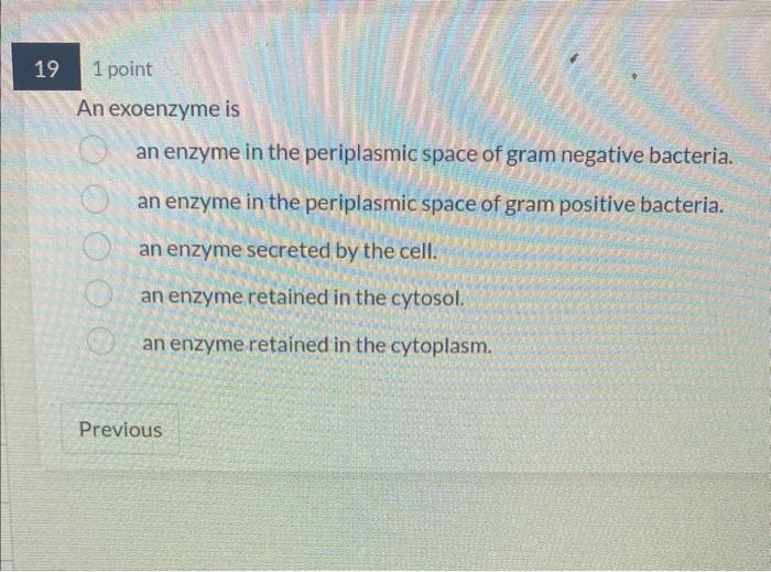 Solved 1 point An exoenzyme is an enzyme in the periplasmic | Chegg.com