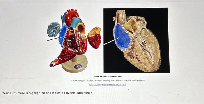 Solved O 2017 Denoyer-Geppert Scimce Combary. APR photo O | Chegg.com