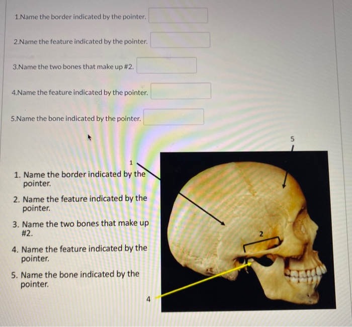 Solved 1.Name the border indicated by the pointer. 2.Name | Chegg.com