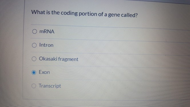 Solved Which enzyme is responsible for cleaving DNA? O | Chegg.com