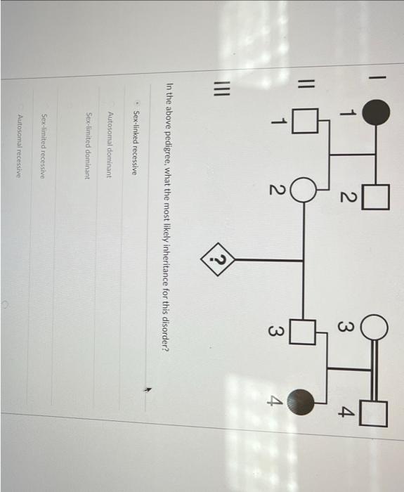 Solved In the above pedigree, what the most likely | Chegg.com