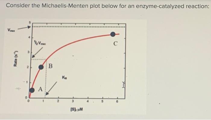Solved Consider the Michaelis-Menten plot below for an | Chegg.com