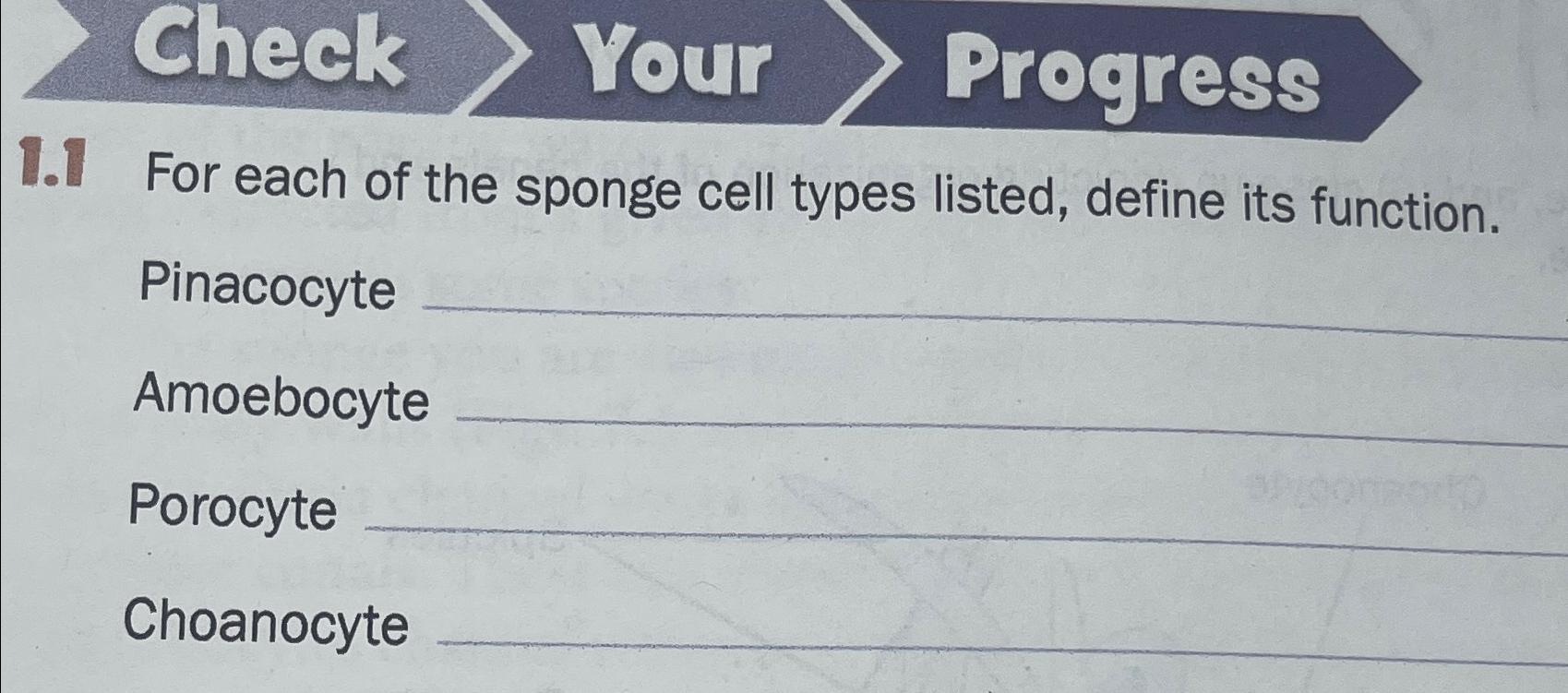 Solved Cheak > ﻿Your > ﻿Progress1.1 ﻿For each of the sponge | Chegg.com