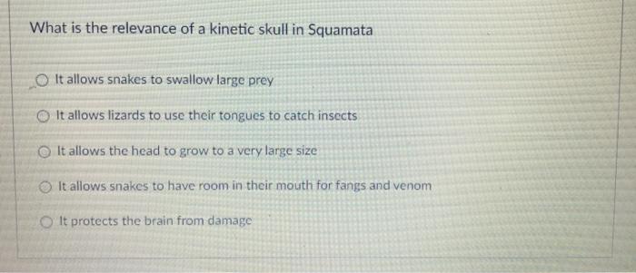 Solved What is the relevance of a kinetic skull in Squamata | Chegg.com