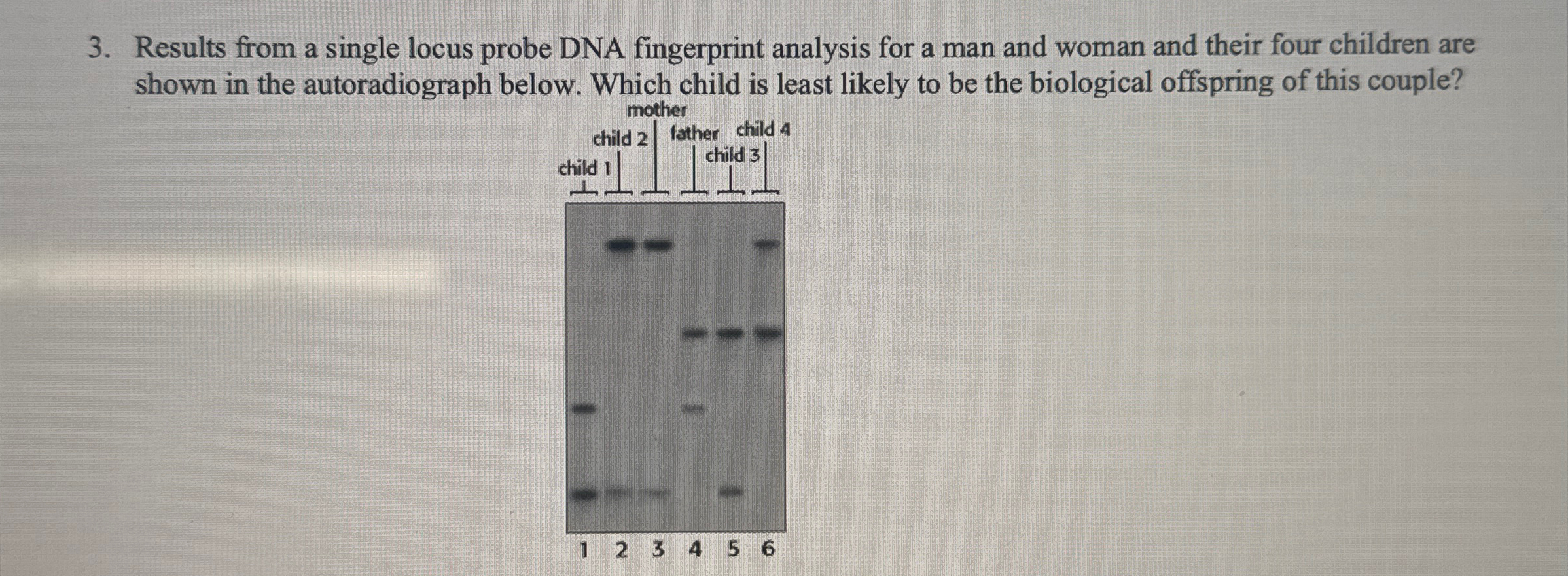 Solved Results from a single locus probe DNA fingerprint | Chegg.com