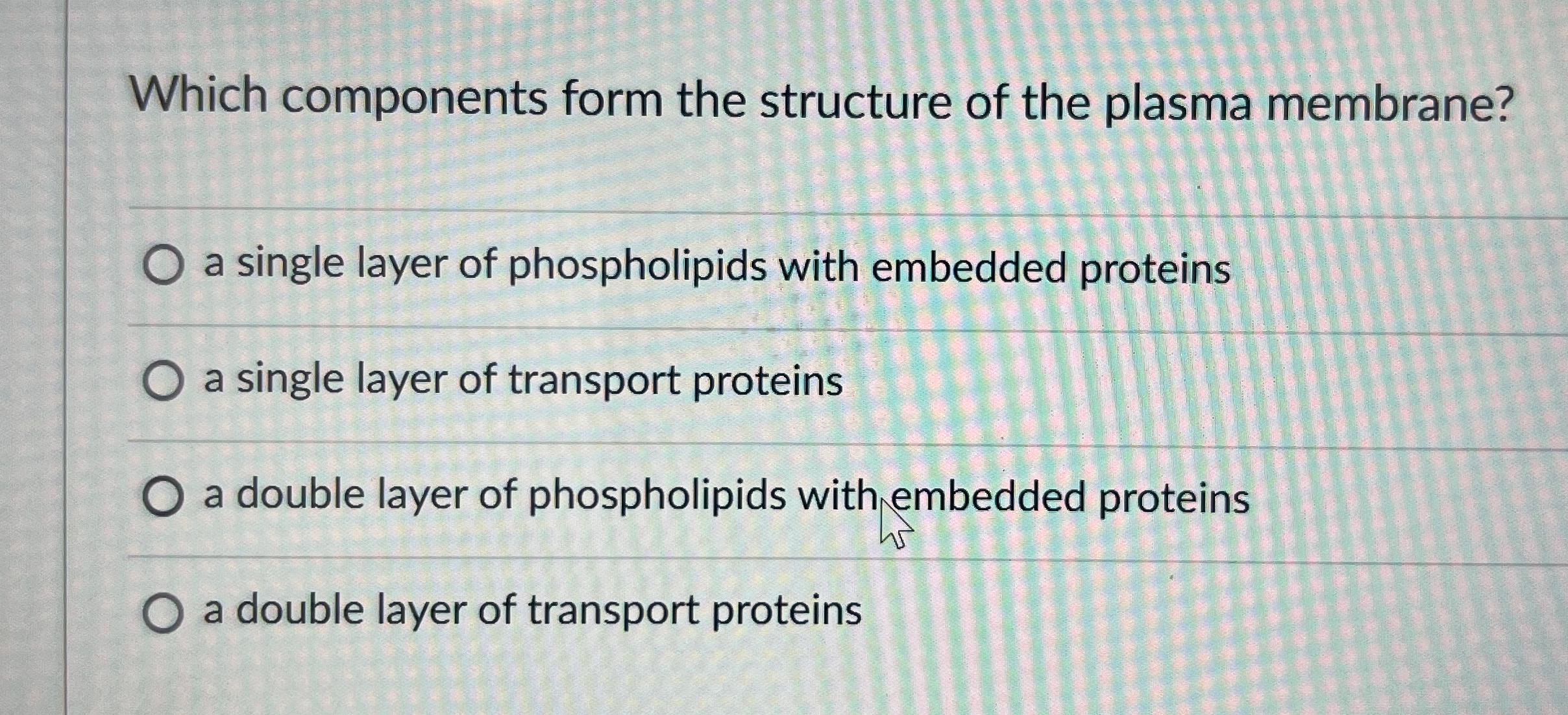Solved Which components form the structure of the plasma | Chegg.com