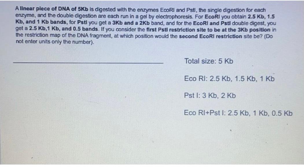 Solved A linear plece of DNA of 5Kb ﻿is digested with the | Chegg.com