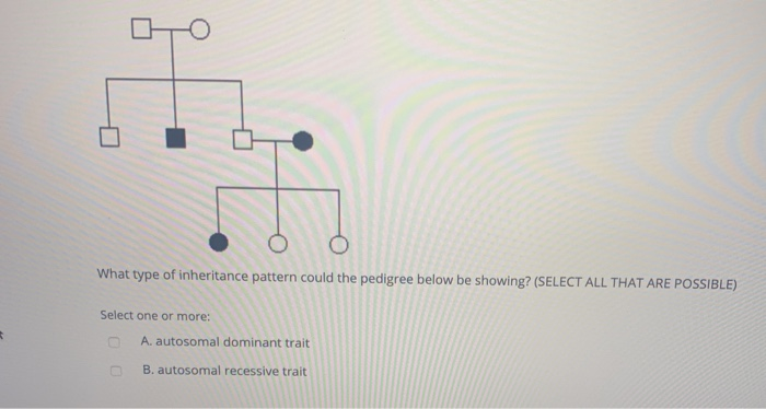 Solved What type of inheritance pattern could the pedigree | Chegg.com