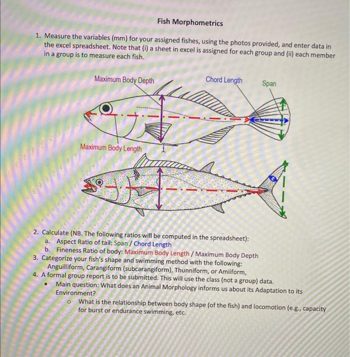Solved introduction for a fish morphometrics lab . fishes | Chegg.com