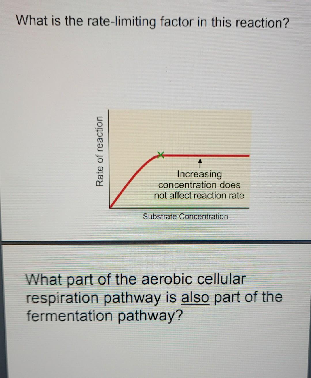 Solved to ou on Enzyme Lab: concepts What is the | Chegg.com
