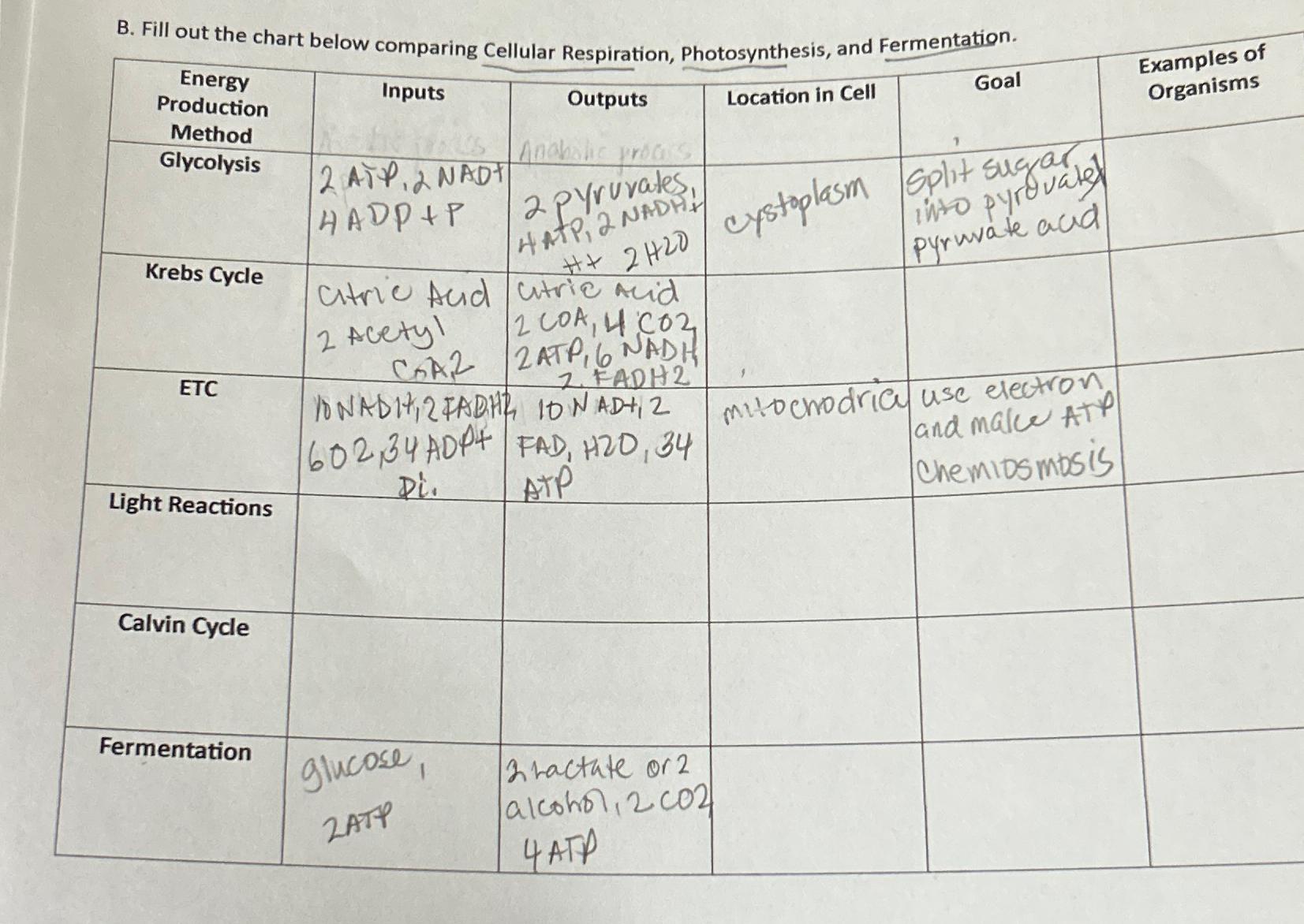 Solved B. ﻿Fill out the chart below comparing Cellular | Chegg.com