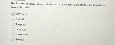 Solved The Balance, proprioception, and fine motor movements | Chegg.com