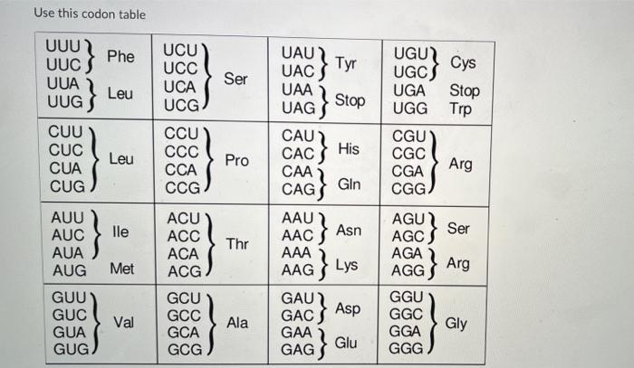 Solved Use this codon table UUU) UUCS Phe Ser UAU Tyr UACS | Chegg.com