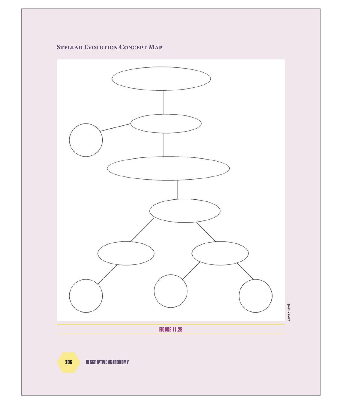 Solved Stellar Evolution Concept MaPFIEURE | Chegg.com