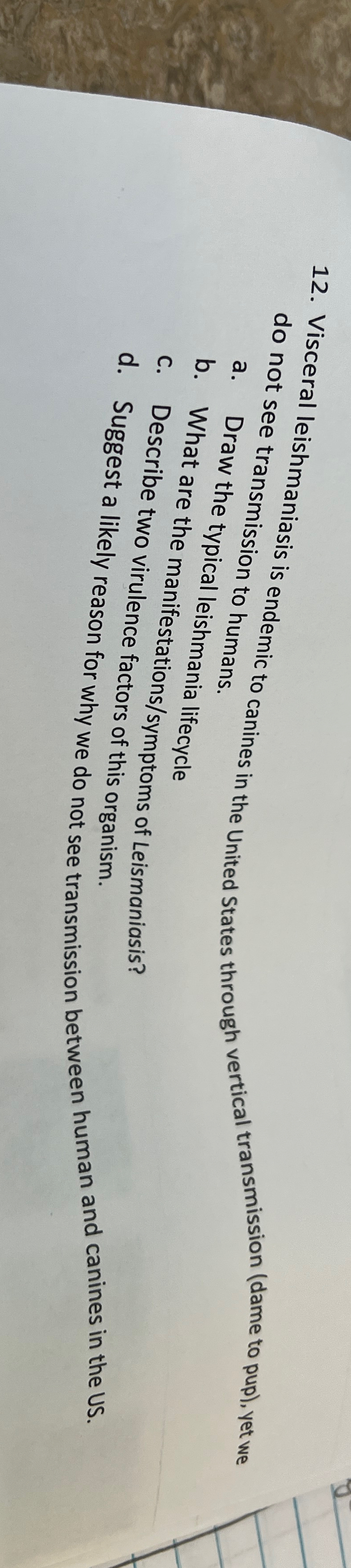 Solved Visceral leishmaniasis is endemic to canines in the | Chegg.com