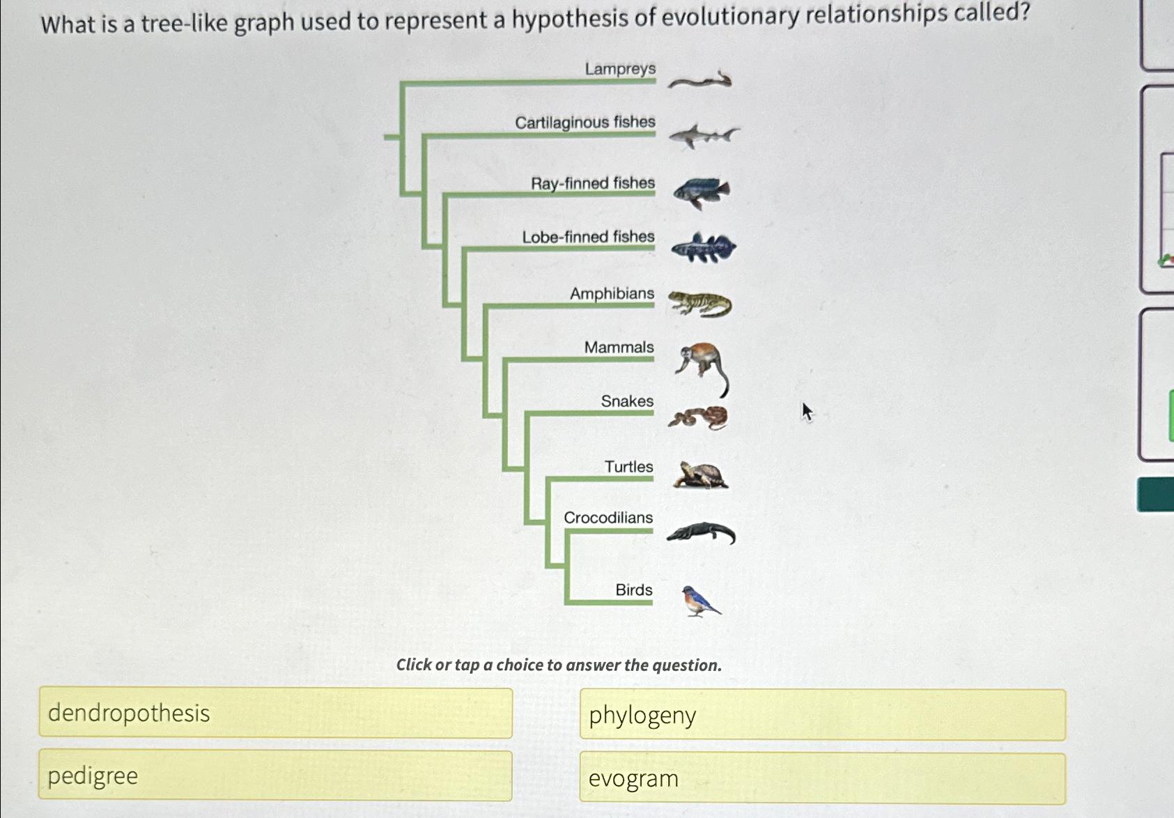 Solved What is a tree-like graph used to represent a | Chegg.com