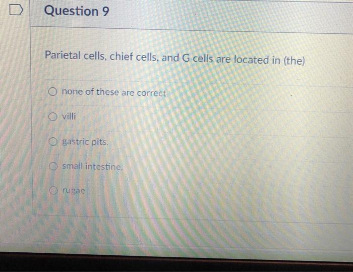 Solved Question 9 Parietal cells, chief cells, and G cells | Chegg.com