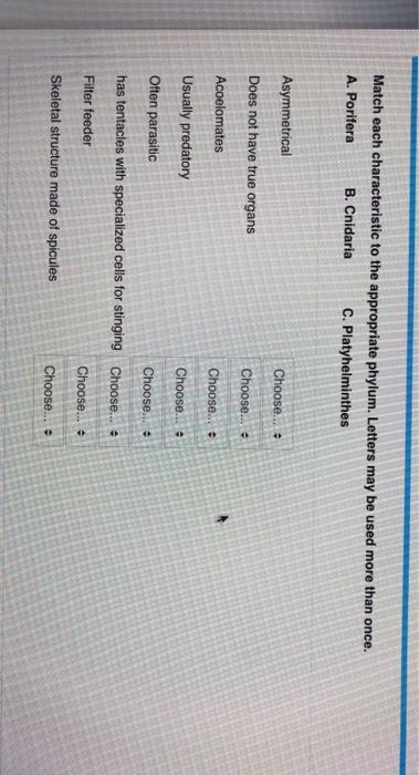 Solved Match each characteristic to the appropriate phylum. | Chegg.com