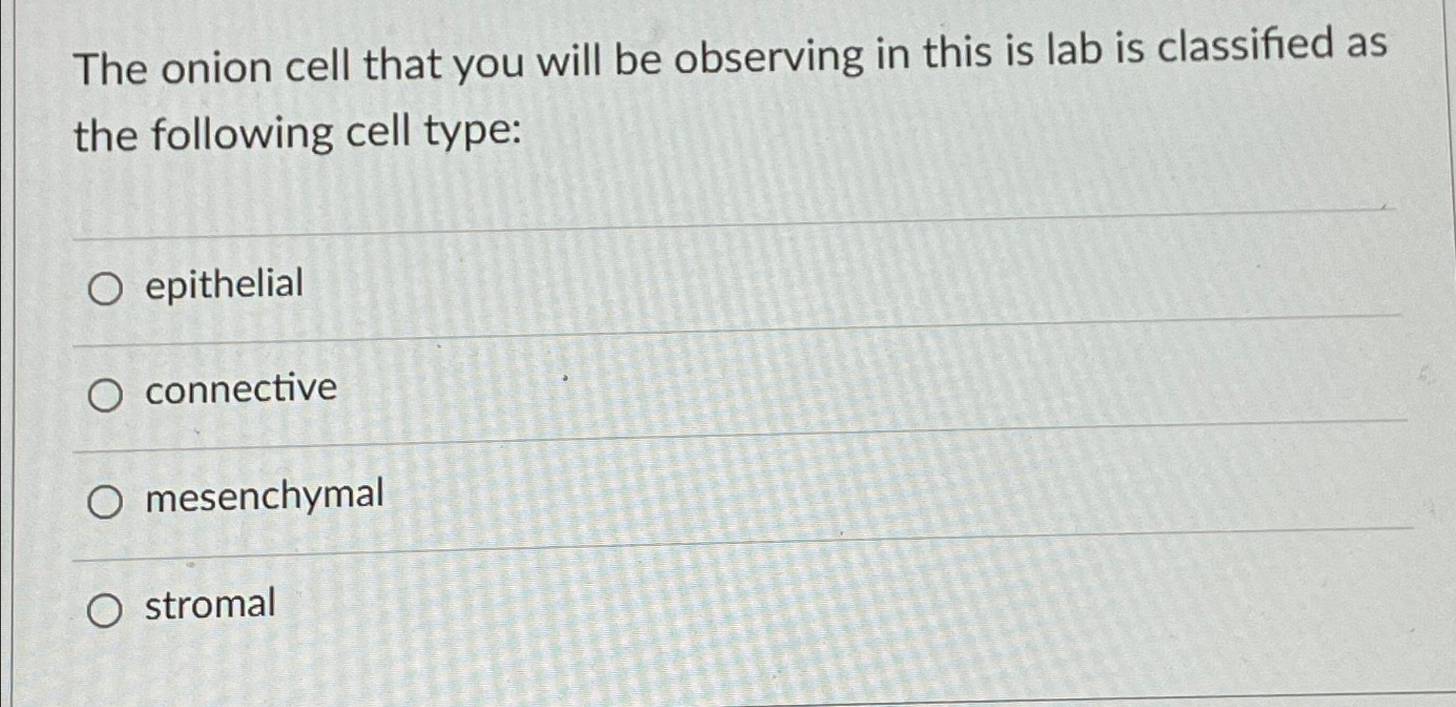 Solved The onion cell that you will be observing in this is | Chegg.com