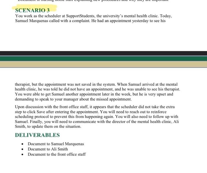 help please can you write to all three deliverables | Chegg.com