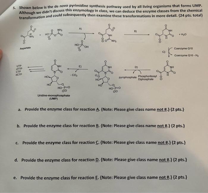 Solved For a-e, please identify the enzyme classes using the | Chegg.com