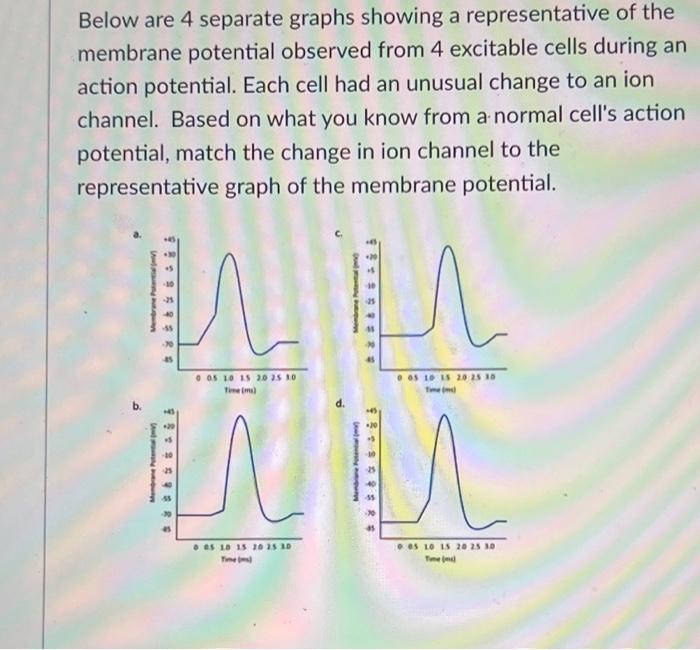 Solved Below are 4 separate graphs showing a representative | Chegg.com