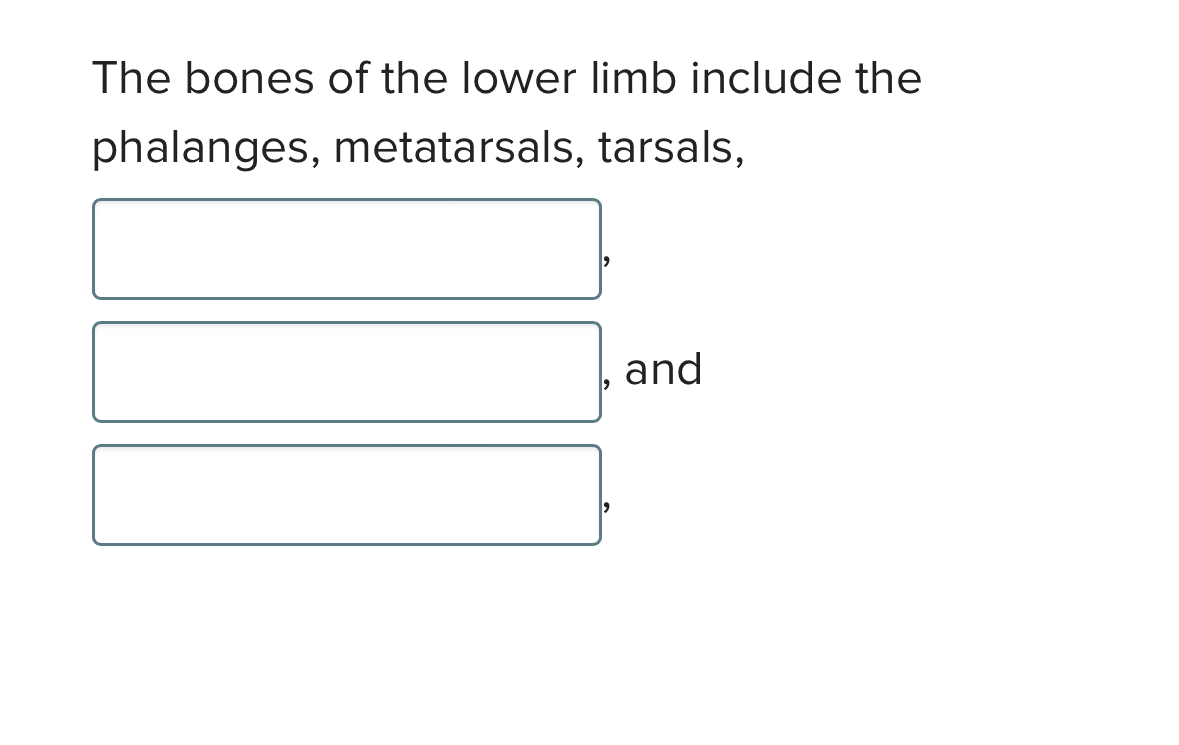 Solved The bones of the lower limb include the phalanges, | Chegg.com